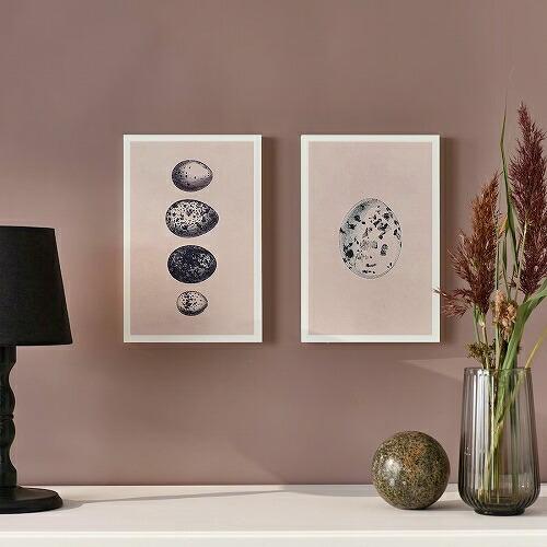 IKEA イケア ウッドプリントアート タマゴ 20x30cm 2ピース m00533215 BJORNAMO ビョールナモ ...