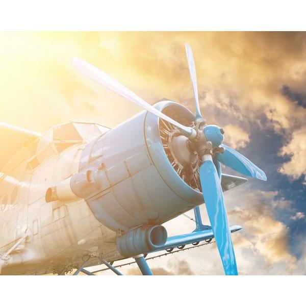 アートパネル Petit Canvas Art 夕焼けと飛行機 500x400mm ZPT-62077 壁掛け アートフレーム 北欧 モダン ...