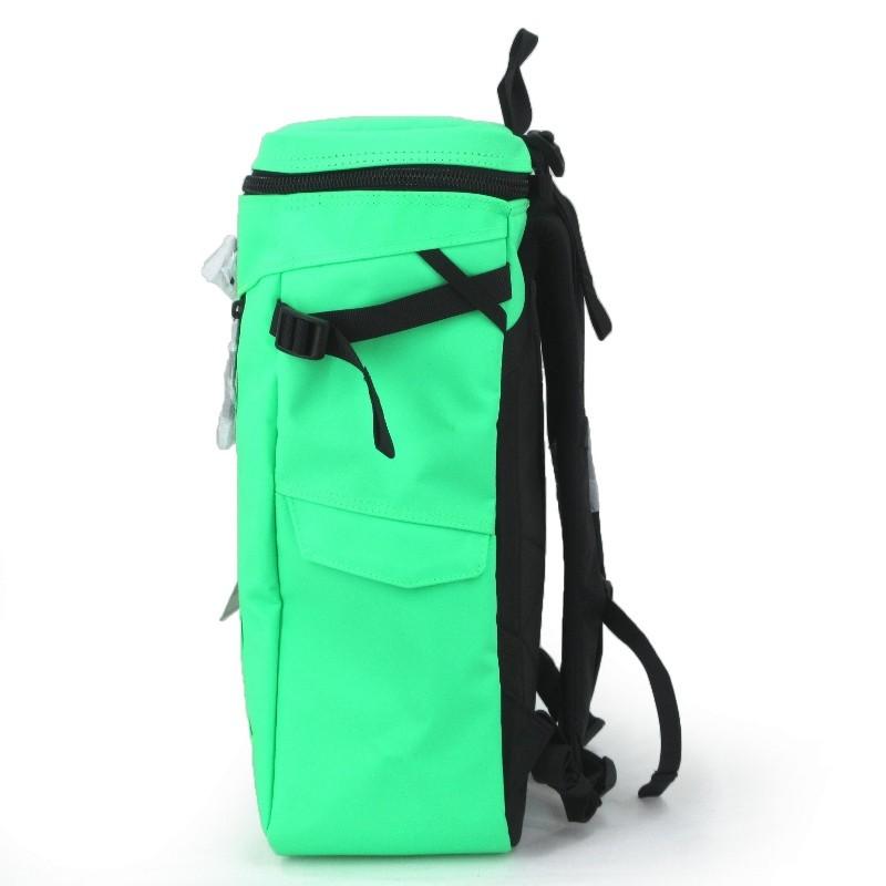 THE NORTH FACE 未使用 ノースフェイス バックパック BC ヒューズボックス 2 NM81968 リュックサック CG ...