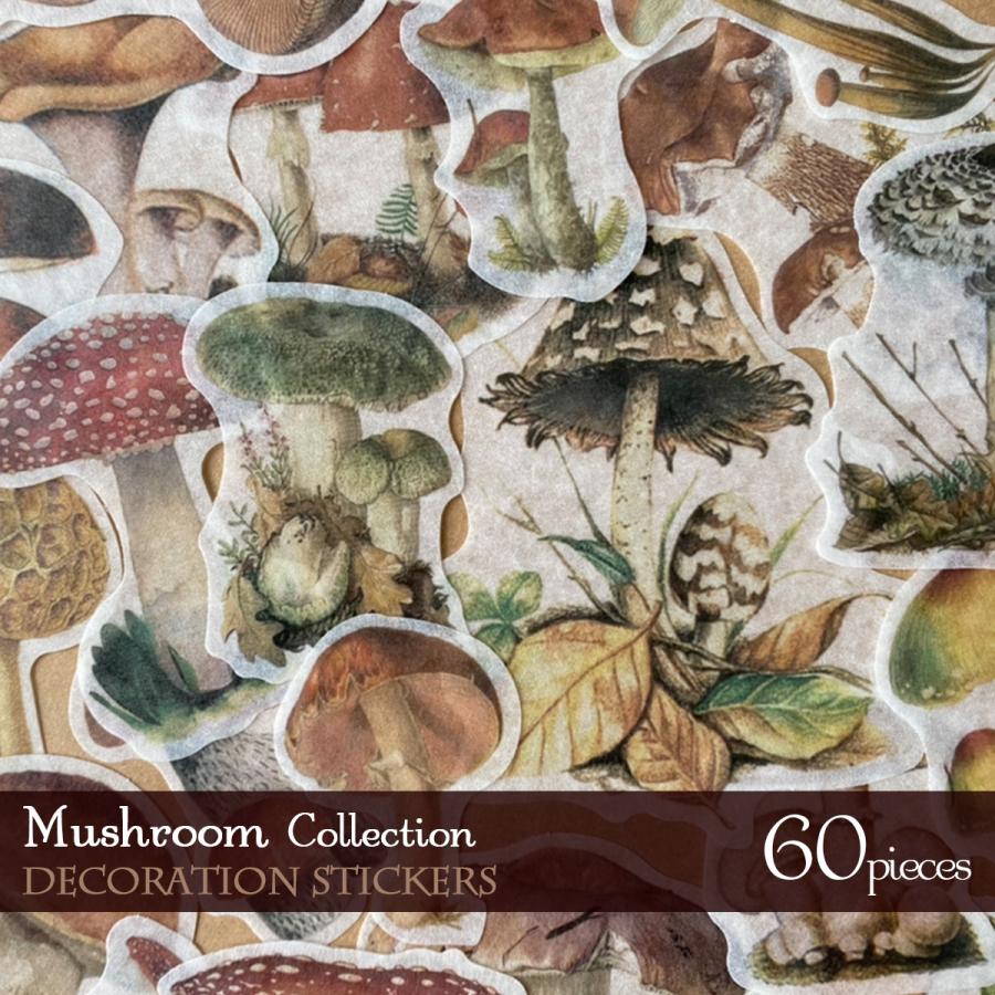 J103 キノコのステッカーコレクション アンティーク キノコ オシャレ 30柄各×2枚 : CLASSYes - 通販 - Yahoo!ショッピング