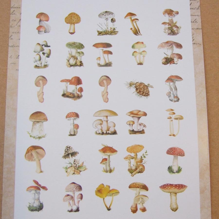 J103 キノコのステッカーコレクション アンティーク キノコ オシャレ 30柄各×2枚 : CLASSYes - 通販 - Yahoo!ショッピング