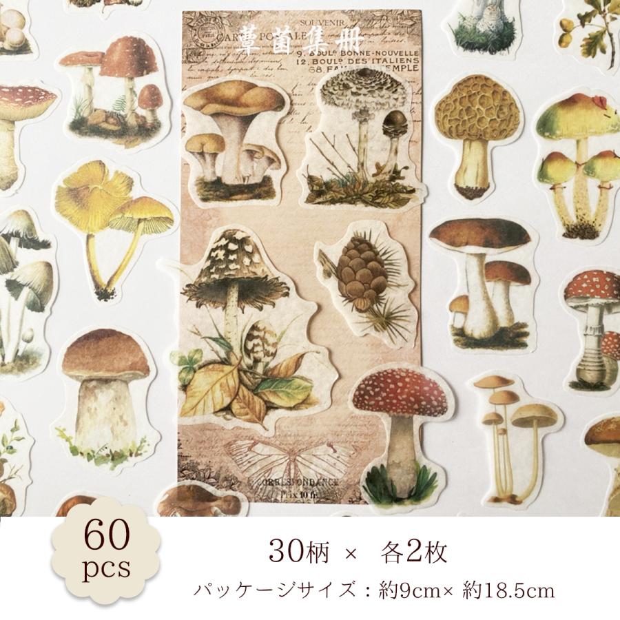 J103 キノコのステッカーコレクション アンティーク キノコ オシャレ 30柄各×2枚 : CLASSYes - 通販 - Yahoo!ショッピング