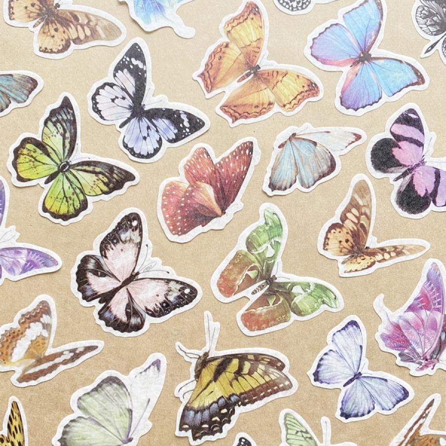 J104 バタフライステッカーコレクション 蝶 カラフル オシャレ 幻想的 : CLASSYes - 通販 - Yahoo!ショッピング