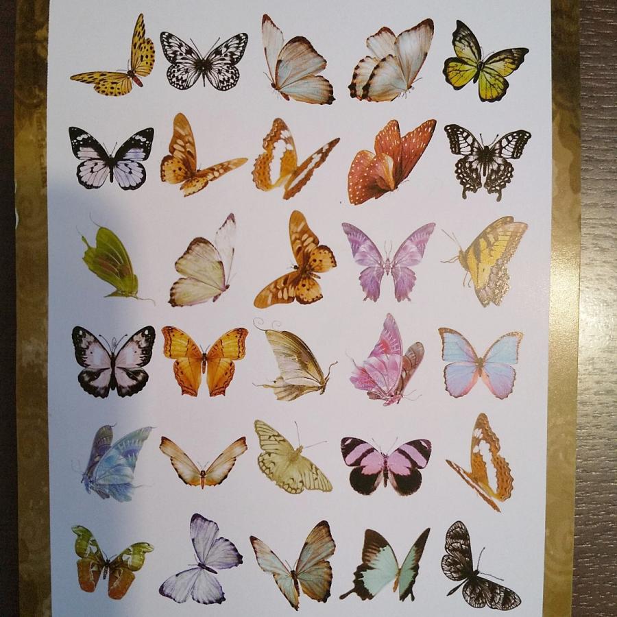 J104 バタフライステッカーコレクション 蝶 カラフル オシャレ 幻想的 : CLASSYes - 通販 - Yahoo!ショッピング
