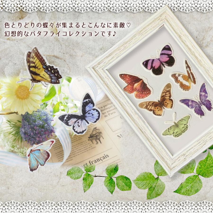 J104 バタフライステッカーコレクション 蝶 カラフル オシャレ 幻想的 : j104 : CLASSYes - 通販 - Yahoo!ショッピング