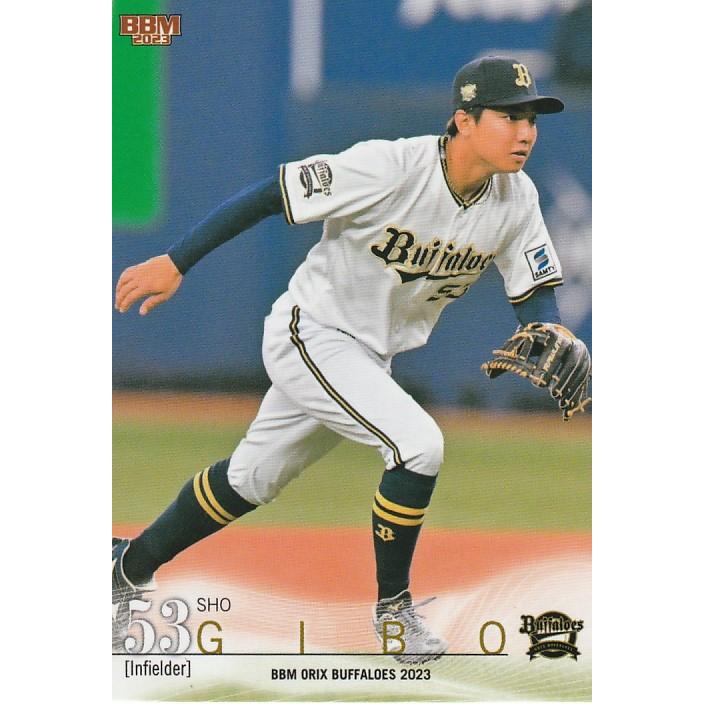 BBM 2023 オリックス・バファローズ 宜保翔 B51 レギュラー : bbm2023buffaloesb51 : トレカショップ CLEAR FILE - 通販 - Yahoo!ショッピング