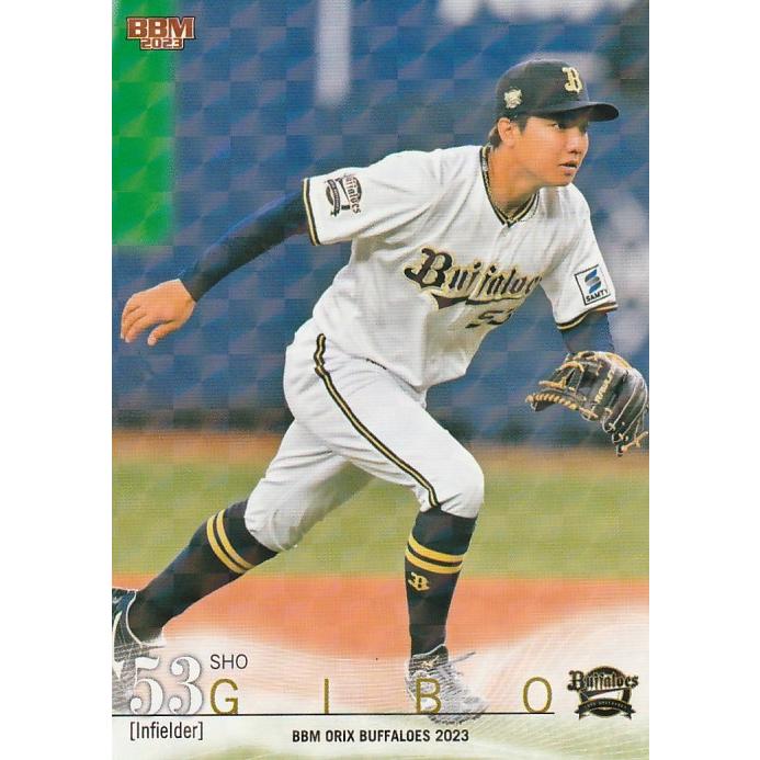 BBM 2023 オリックス・バファローズ 宜保翔 B51 キラカード : トレカショップ CLEAR FILE - 通販 - Yahoo!ショッピング