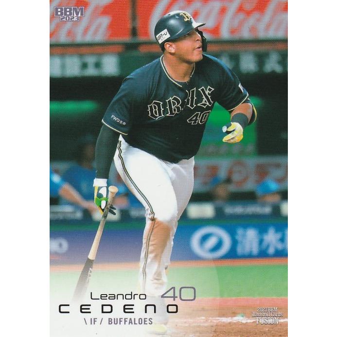 BBM 2023 FUSION セデーニョ 602 1stバージョンアップデート版 : bbm2023fusion602 : トレカショップ CLEAR FILE - 通販 - Yahoo ...