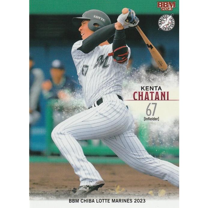 BBM 2023 千葉ロッテマリーンズ 茶谷健太 M55 レギュラー : トレカショップ CLEAR FILE - 通販 - Yahoo!ショッピング