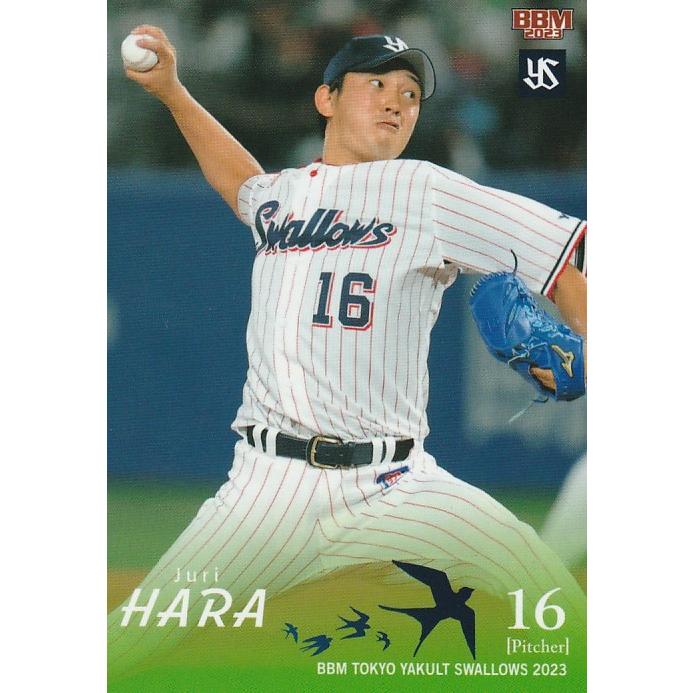 BBM 2023 東京ヤクルトスワローズ 原樹理 S06 レギュラー : トレカショップ CLEAR FILE - 通販 - Yahoo!ショッピング