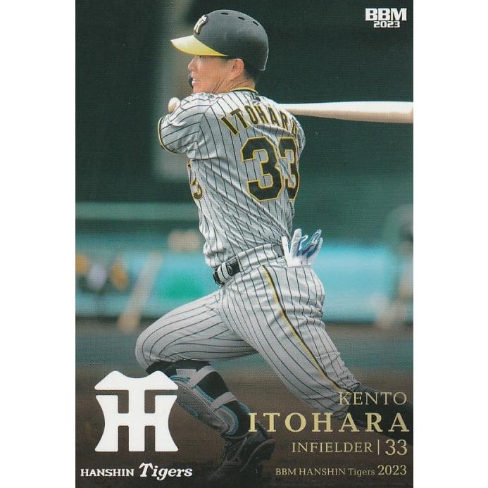 BBM 2023 阪神タイガース 糸原健斗 T49 レギュラー : bbm2023tigerst49 : トレカショップ CLEAR FILE - 通販 - Yahoo!ショッピング