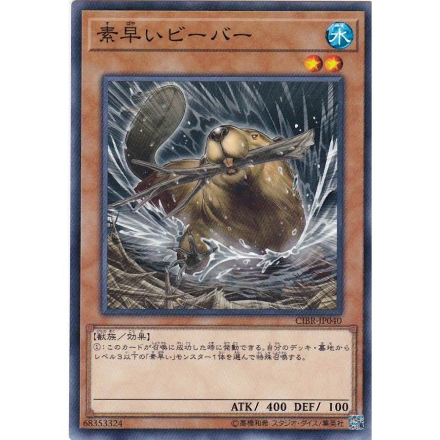 コナミデジタルエンタテインメント 遊戯王 CIBR-JP040 素早いビーバー ノーマルレア : トレカショップ CLEAR FILE - 通販 - Yahoo!ショッピング