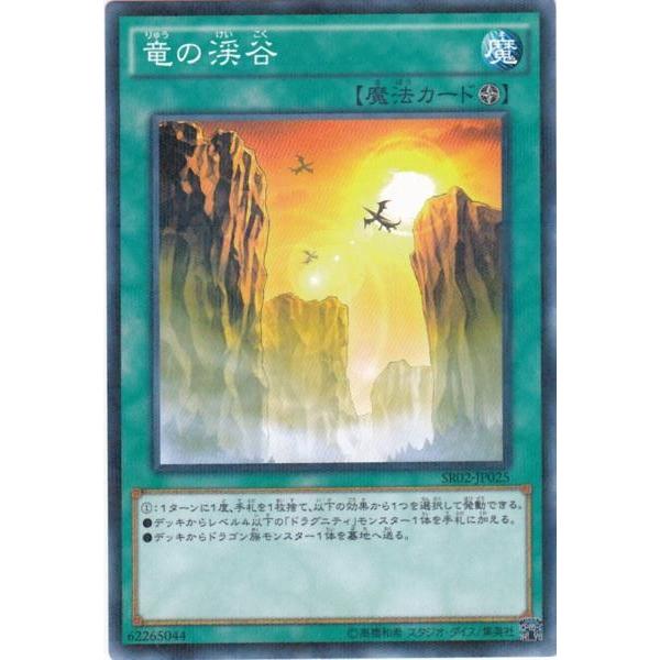 GG 遊戯王 SR02-JP025 竜の渓谷 パラレル : トレカショップ CLEAR FILE - 通販 - Yahoo!ショッピング