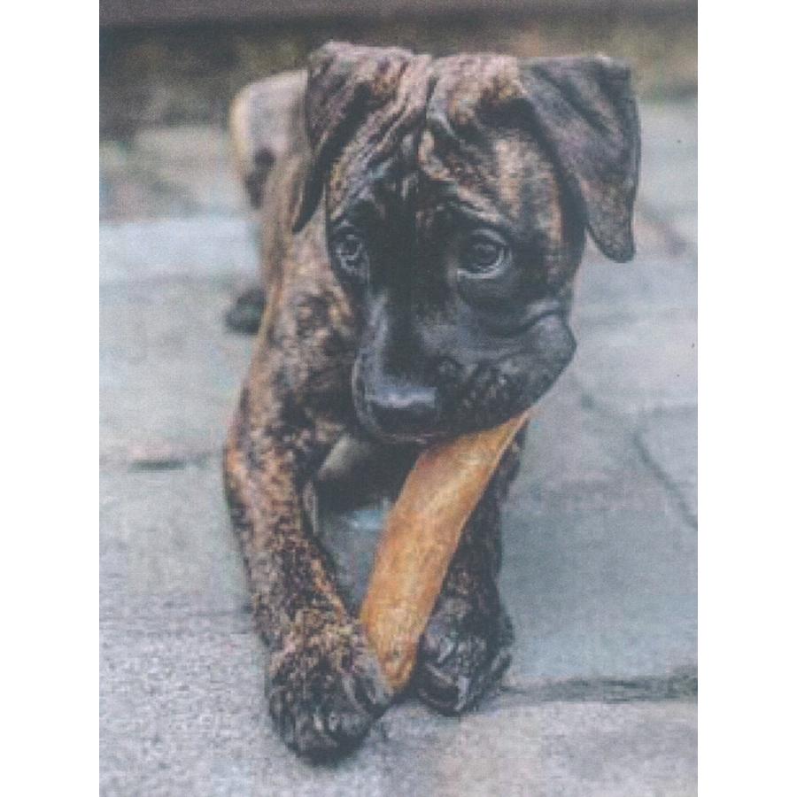 CANOPHERA CHEW STICK FOR DOG size XXS(犬用歯磨きスティック100％天然素材小型犬向け2本セット ...