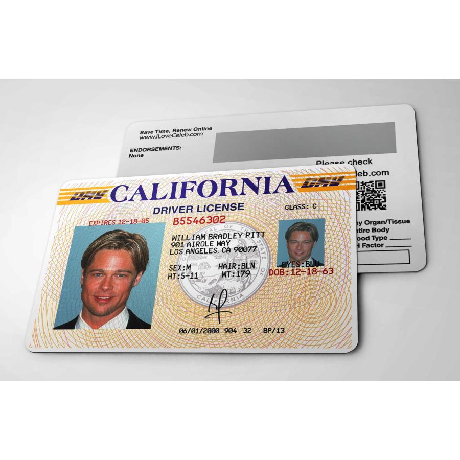 人気映画ブレット・トレイン【ブラッド・ピット/Brad Pitt】IDカード/レディバグ/LADYBUG/レプリカ/コレクション-2 ...