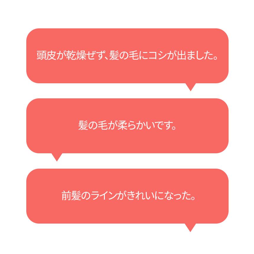 nesh ザクロ スカルプシャンプー 保湿 480ml シャンプー スカルプ 頭皮ケア 潤い 保湿アイテム 韓国 韓国コスメ ネシ ネッシュ ...