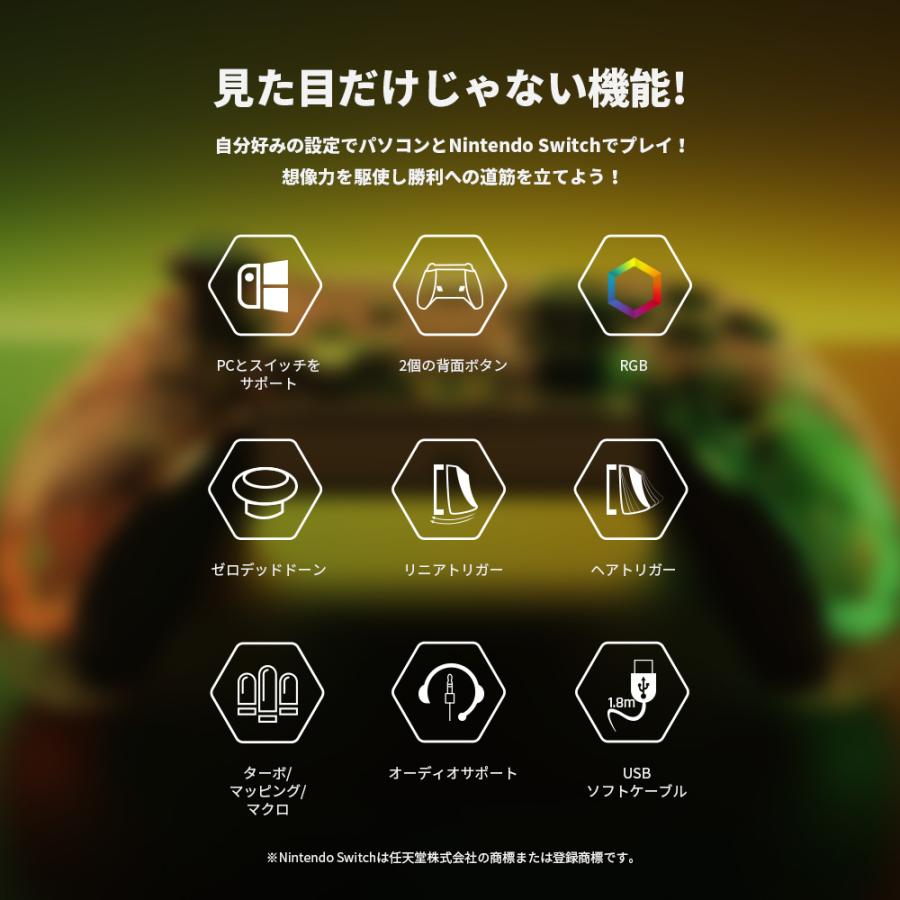 BIGBIG WON RAINBOW Lite 有線ゲームコントローラー (Switch Windows PC USB イヤホンジャック ターボ マクロあり ジャイロなし 1年間保証 ...