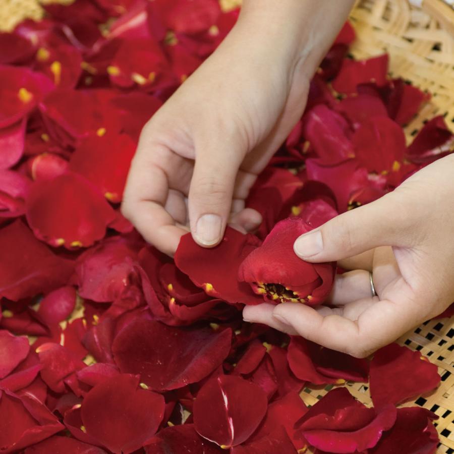 ジュエルアップミスト 13ml [ローズドビオ] : カリス成城 ここちeくらしshop - 通販 - Yahoo!ショッピング