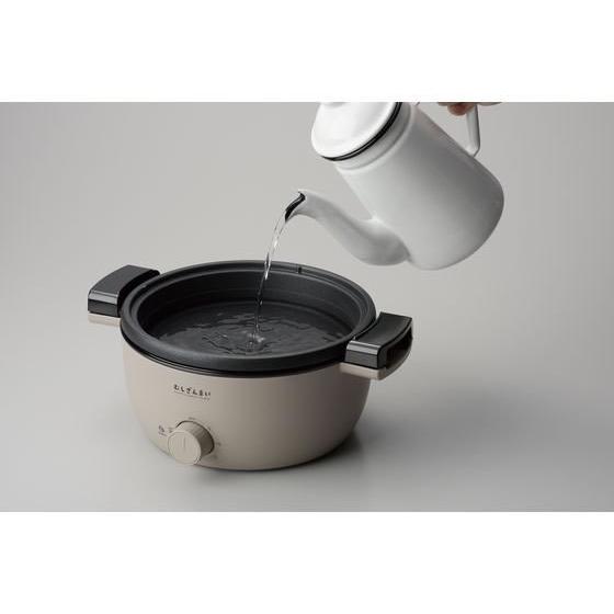 APIX INTERNATIONAL 【お取り寄せ】アピックスインターナショナル 蒸しざんまい AMZ-450GY : ココデカウ - 通販 - Yahoo!ショッピング