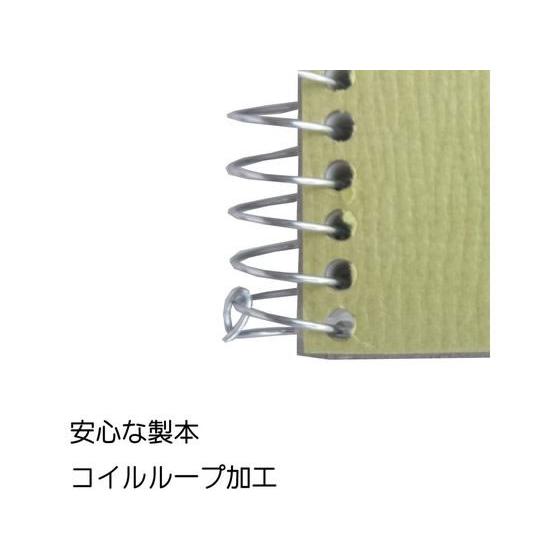 maruman マルマン スケッチブック F8 452×379mm 20枚 S88 : ココデカウ - 通販 - Yahoo!ショッピング