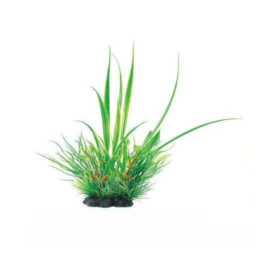 GEX 【お取り寄せ】ジェックス MIXプランツMシペルス グッズ 観賞魚 ペット アクアリウム : ココデカウ - 通販 - Yahoo!ショッピング