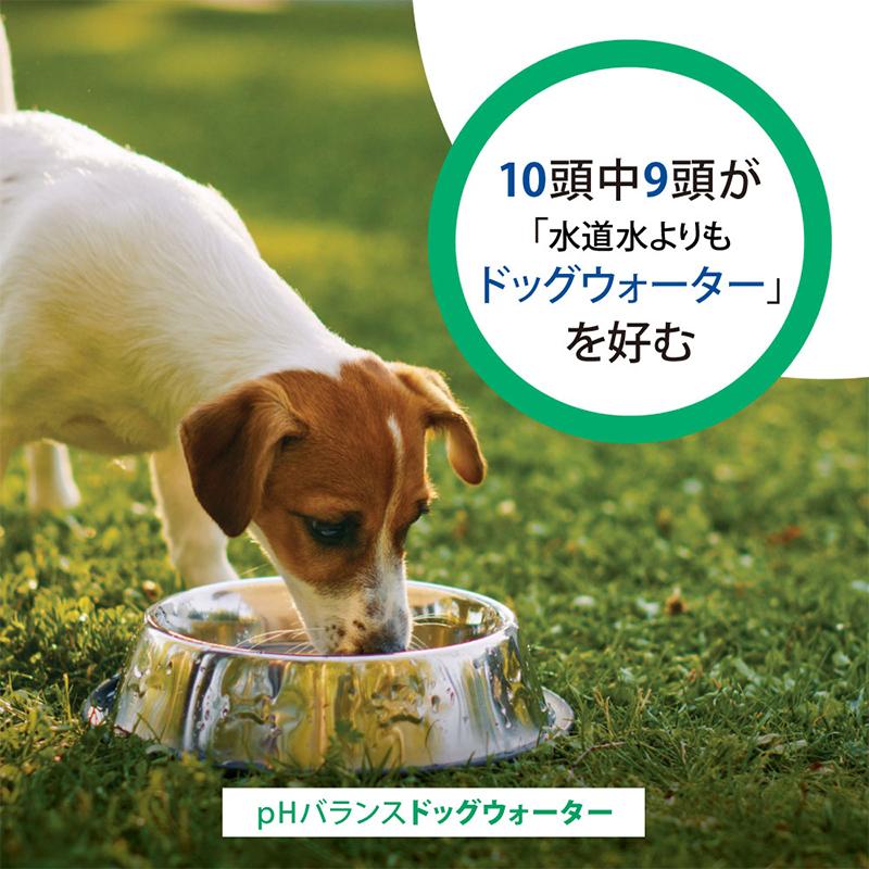 ドッグウォーター 4L : Coco La-Vie Yahoo!店 - 通販 - Yahoo!ショッピング