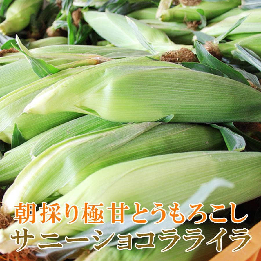 2025新商品 山梨県産 とうもろこし サニーショコラ・ライラ 2L〜3L 5〜6本入り フルーツコーン 皮付き 生食可能 甲府市中道町産 きみひめの後継品種 : ココ・メルカート - 通販 ...