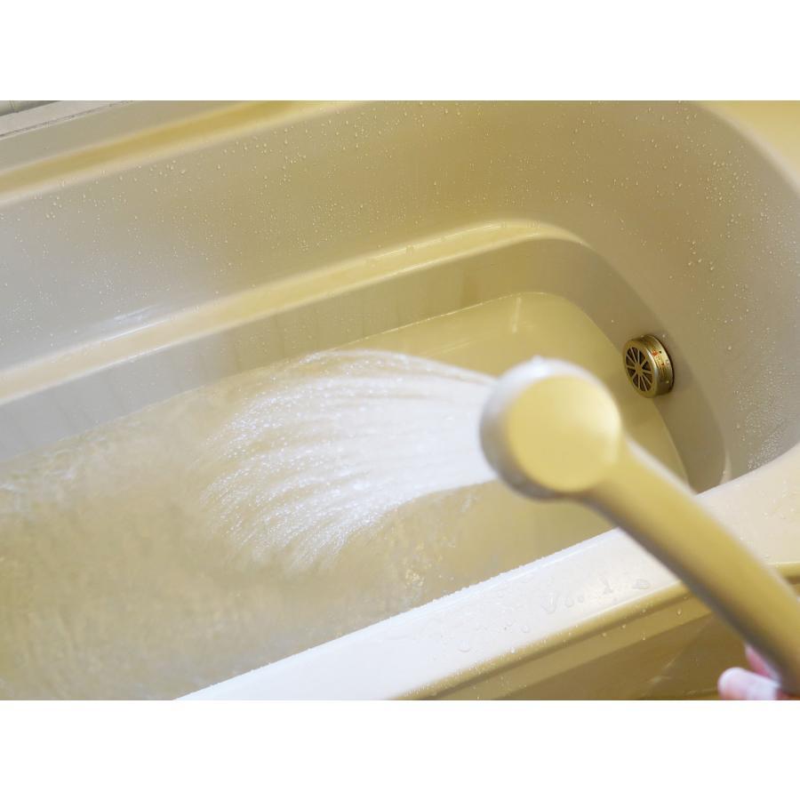 浴槽洗剤 風呂釜洗い 風呂釜洗浄 風呂釜掃除 風呂用洗剤 バスルームクリーナー エコ洗剤 節水 フロ釜クリーナー 160g1つ穴用 4個セット : k-2598 : Coconutshop ...