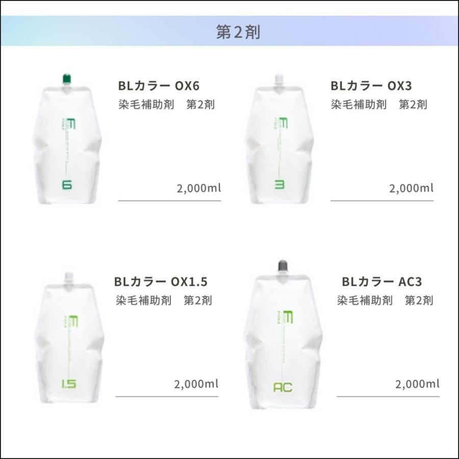 FIOLE フィヨーレ BLカラー OX 2000ml 【種類選べる】染毛補助剤 第2剤 | QUALUCIA カラー剤 詰め替え用 パウチ 詰替え サロン専売 ヘアケア 染毛剤 脱色剤 ...