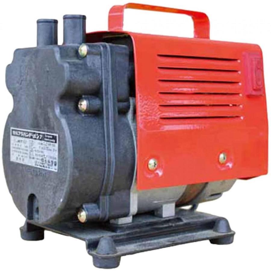 小型 給水ポンプ ハンディーポンプ HP-50 100V 口径15mm 水換えポンプ 循環ポンプ 電動ポンプ 散水機 家庭用テラダ 寺田ポンプ(開封品) : CocoStore - 通販 ...