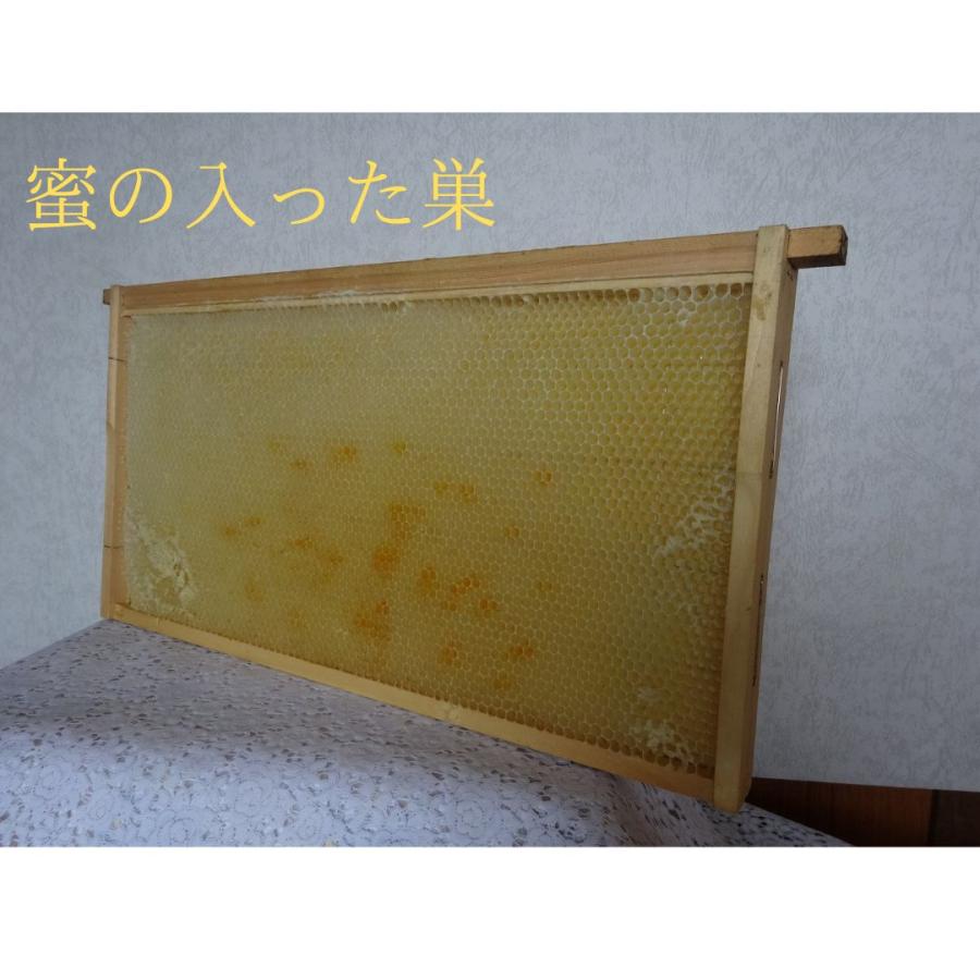 天然成分100％純粋ハチミツ榛名の森のはちみつ屋さん「無垢」 135g : COG shop - 通販 - Yahoo!ショッピング