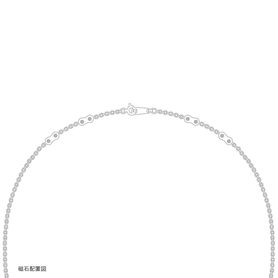 Lierrey 【期間限定P5倍】【公式】リエリィ カーブネックレス 磁気ネックレス チェーンネックレス 肩こり レディース 女性 おしゃれ プレゼント コラントッテ : コラントッテ公式 ...