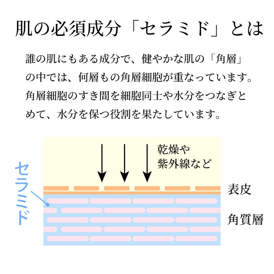 そのまま！（シンエイ） セラミド美容液 20ml ヒト型セラミド 配合 無香料 無着色 パラベンフリー バリア機能 集中ケア 弾力 ハリ ツヤ 乾燥 保湿 肌荒れ 毛穴 年齢肌 敏感肌 : 美 ...