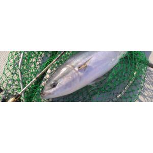 MCワークス MAGIC TRIGGER 661LR SPECIAL MODEL : fishing shop Colony ヤフー店 ...