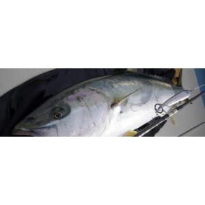 MCワークス EXPLOSION 817HF STANDARD MODEL : fishing shop Colony ヤフー店 - 通販 - Yahoo!ショッピング