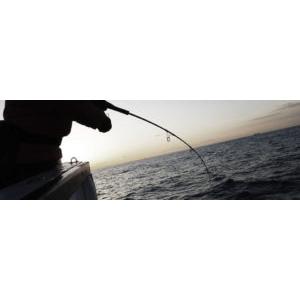 MCワークス MAGIC TRIGGER 602LR (ALL NEW MODEL) STANDARD MODEL : fishing ...