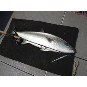 MCワークス MAGIC TRIGGER 601LR/CORK コルクグリップモデル SPECIAL MODEL : fishing shop ...