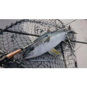 MCワークス MAGIC TRIGGER 602LR STANDARD MODEL : fishing shop Colony ヤフー店 ...