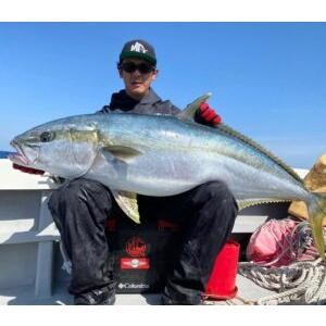 MCワークス MAGIC TRIGGER 601LR STANDARD MODEL : fishing shop Colony ヤフー店 - 通販 - Yahoo!ショッピング