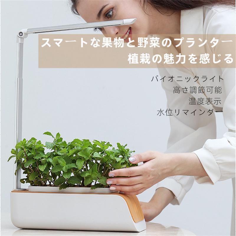 水耕栽培キット 卓上植木鉢 野菜栽培セット 土なし栽培室 植物 水耕栽培キット 卓上植木鉢 野菜栽培セット 土なし栽培室 植物