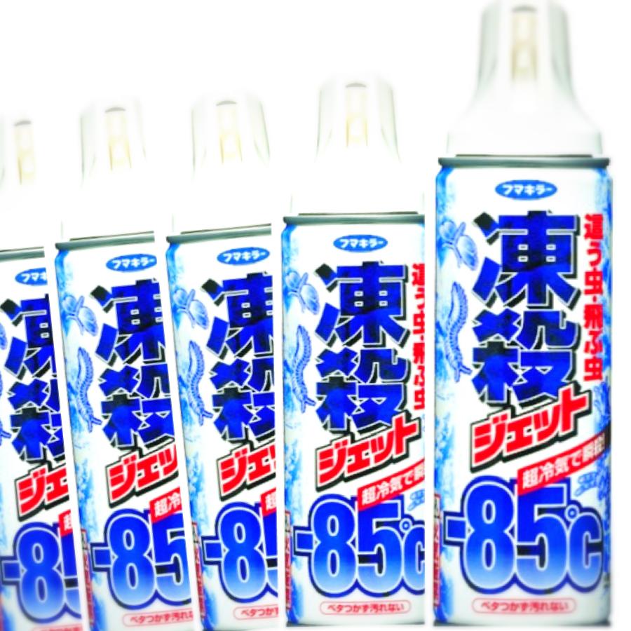 フマキラー 凍殺ジェット 這う虫・飛ぶ虫用 300ml 5本セット : color - 通販 - Yahoo!ショッピング
