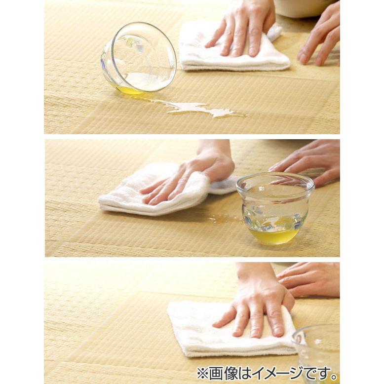 大島屋 上敷き 洗えるPP製 月ヶ瀬 6畳 本間 約286×382cm （ カーペット 和室 6帖 ） : お弁当グッズのカラフルボックス - 通販 - Yahoo!ショッピング