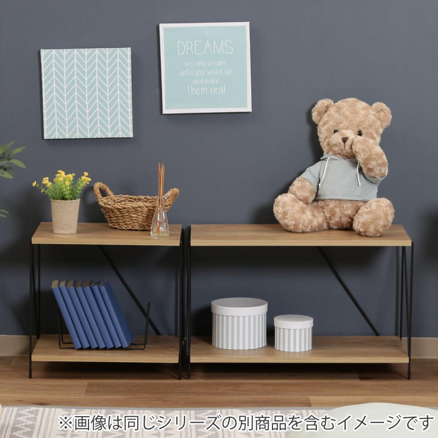 オープンラック 幅42cm 2段 簡単組み立て ワイヤーラック EZBO （ 工具不要 シェルフ ラック 棚 収納 ディスプレイラック 飾り棚 ） : 407579 : お弁当グッズのカラフル ...