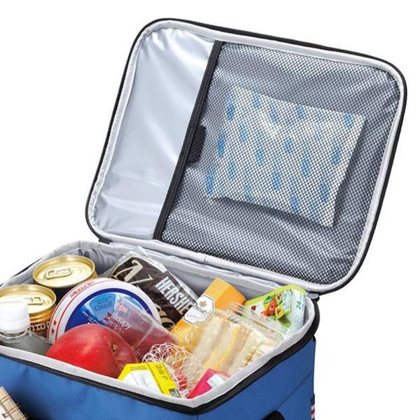 THERMOS クーラーバッグ ソフトクーラー サーモス(thermos) 20L REF-020 （ 保冷バッグ クーラーボックス 大容量 ） : お弁当グッズのカラフルボックス - 通販 ...