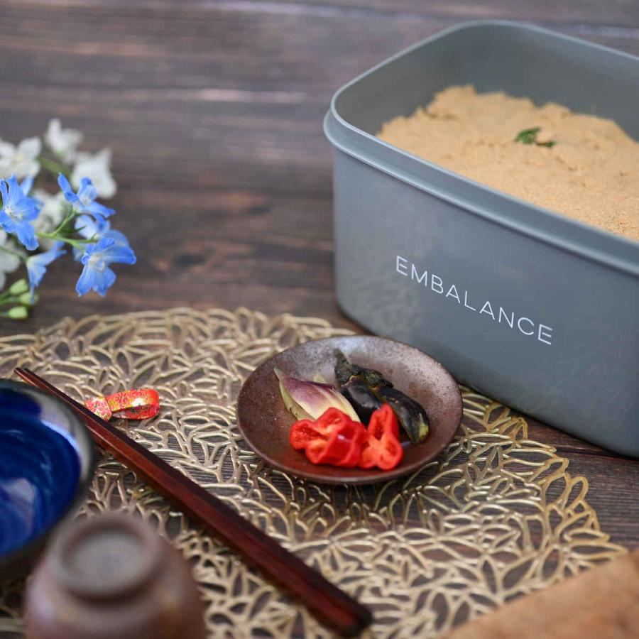 EMBALANCE 保存容器 3.5L フードコンテナ 角型 （ エンバランス プラスチック 冷凍 冷蔵 鮮度保持 日本製 3500ml 深型 ...