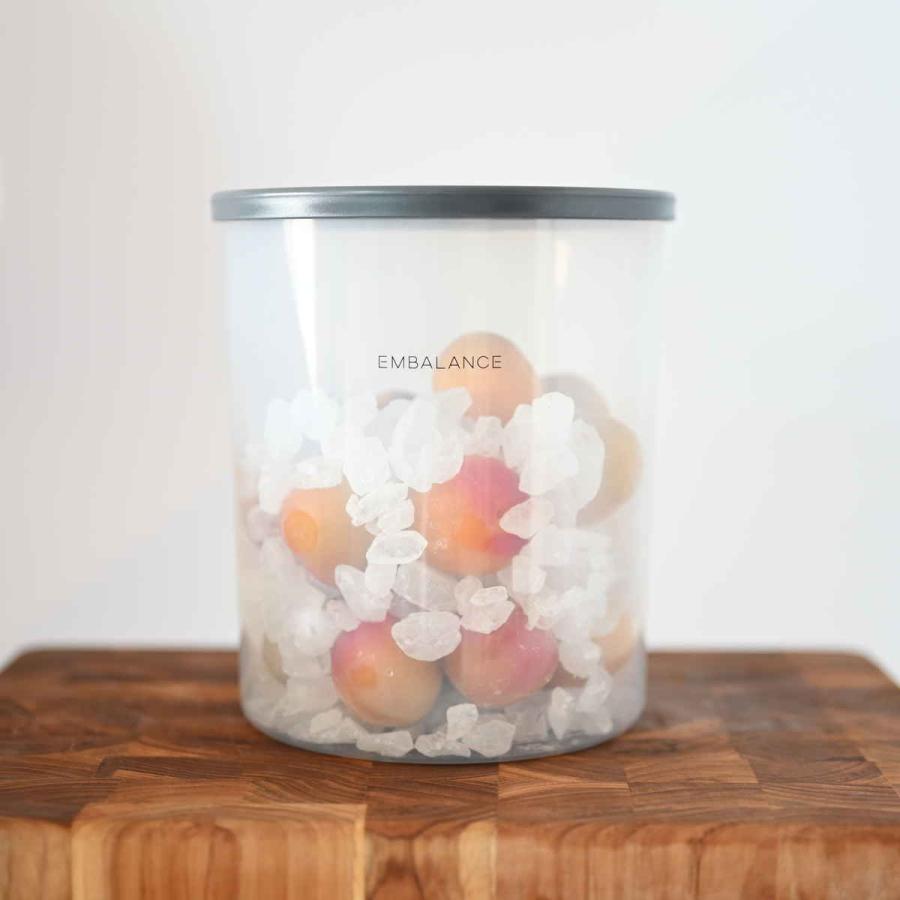 EMBALANCE 保存容器 4.2L フードコンテナ （ エンバランス プラスチック 冷凍 冷蔵 鮮度保持 日本製 4200ml 深型 ...