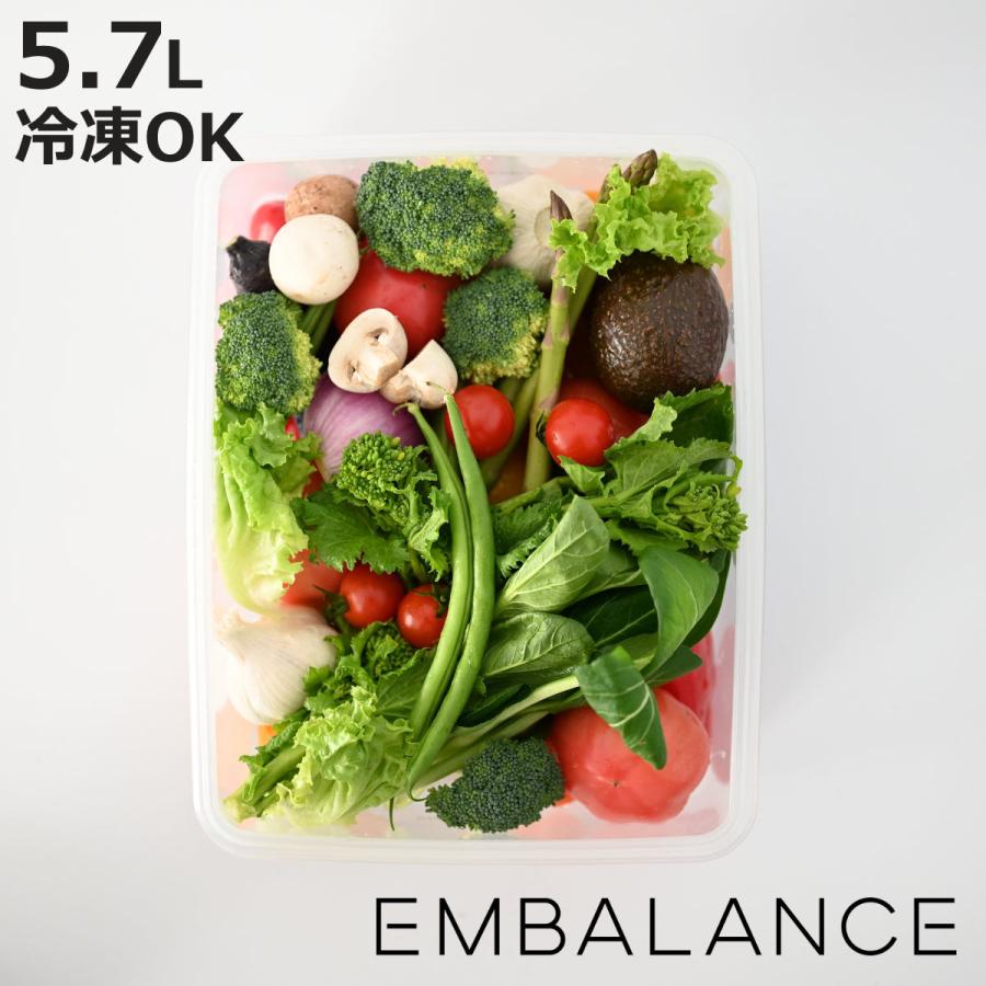 EMBALANCE 保存容器 5.7L レクタングルコンテナ 角型 （ エンバランス プラスチック 冷凍 冷蔵 鮮度保持 日本製 ） : お ...