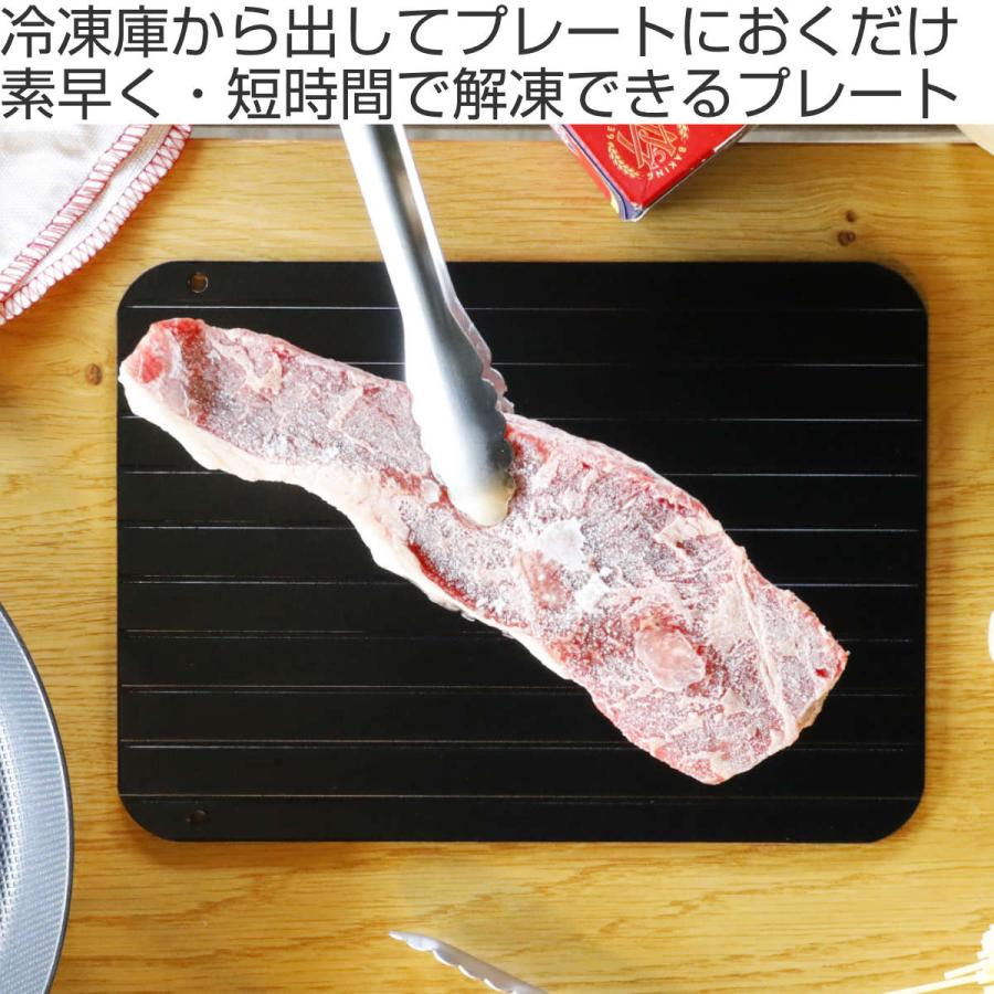 解凍プレート S アルミ製 atomico 解凍皿 （ アトミコ 解凍板 解凍ツール 急速解凍 自然解凍 ） : 465240 : お弁当 ...