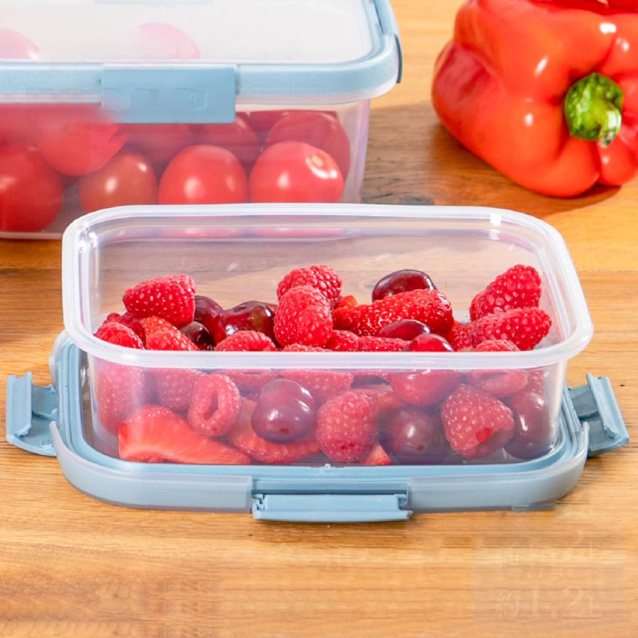 保存容器 Smart Fresh スマートフレッシュ 長方形 1.2L （ キャニスター 食品保存容器 プラスチック容器 フードストッカー ...