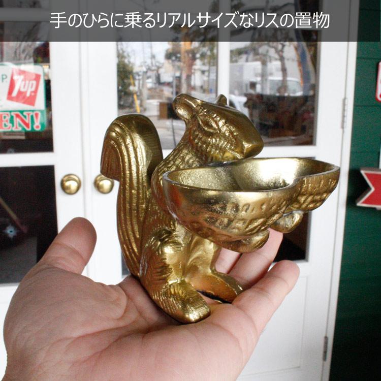 Squirrel & Nuts ”Gold” スクウォーレル&ナッツ ”ゴールド” : dt22012404 : アメリカン雑貨COLOUR Yahoo!店 - 通販 - Yahoo!ショッピング